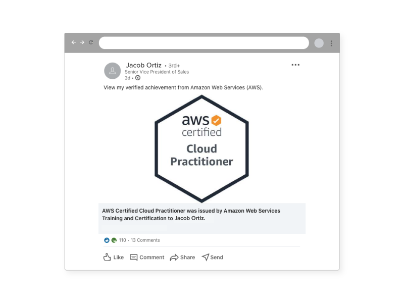 Badge Earner Support